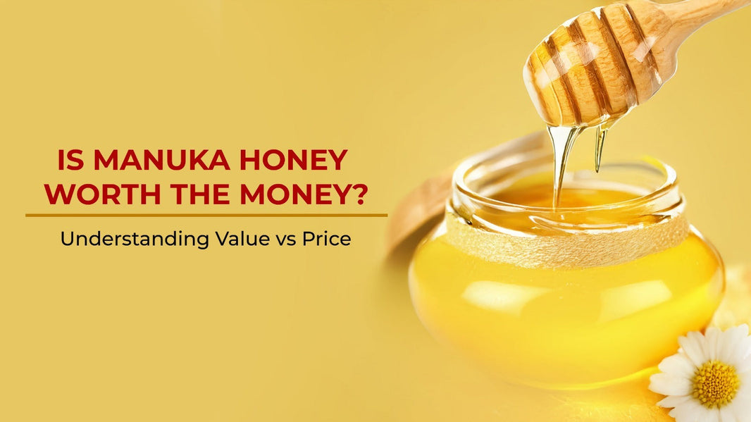 Why Is Manuka Honey So Expensive? Is It Worth the Money? | USA